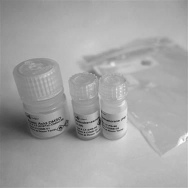 2-AB glycan labelling kit (2PB reductant) - Zelle Biotech